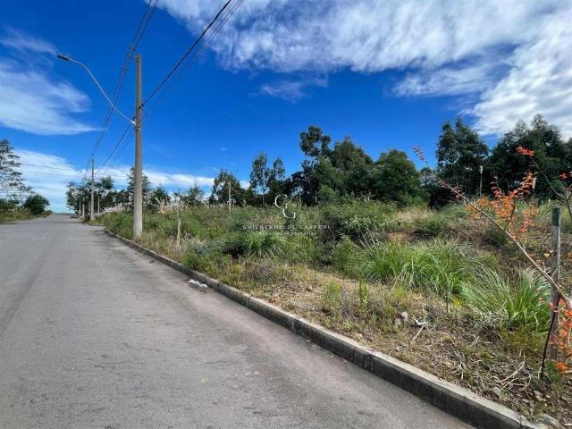 Terreno / Lote para Venda em Caxias do Sul/RS São Luiz