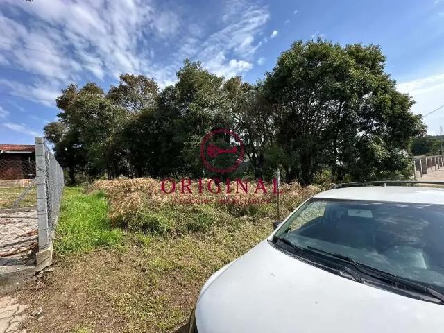 Terreno / Lote para Venda em Caxias do Sul/RS São Luiz