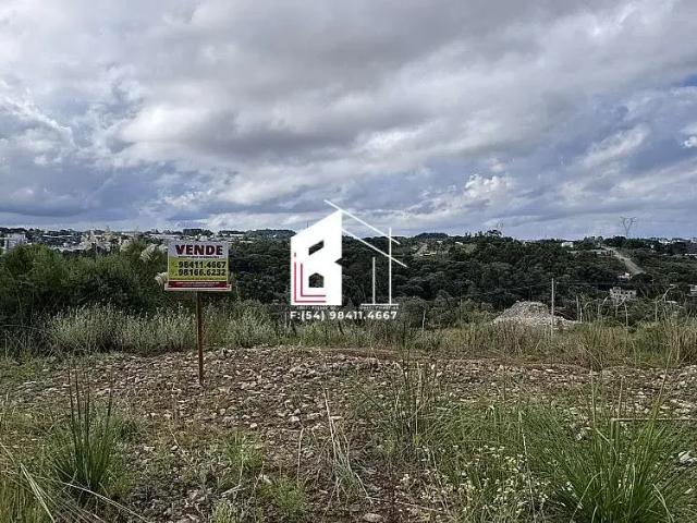 Terreno / Lote para Venda em Caxias do Sul/RS São Luiz