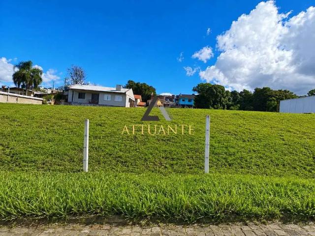 Terreno / Lote para Venda em Caxias do Sul/RS São Luiz