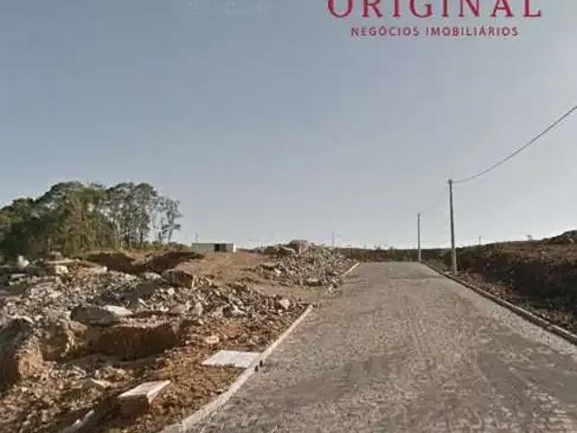 Terreno / Lote para Venda em Caxias do Sul/RS São Luiz