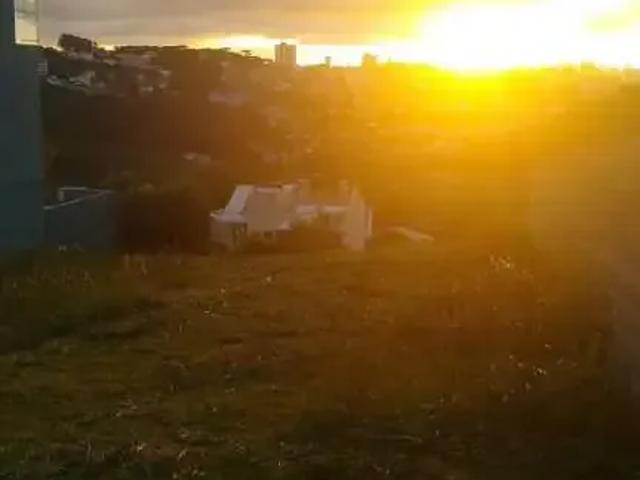 Terreno / Lote para Venda em Caxias do Sul/RS São Luiz
