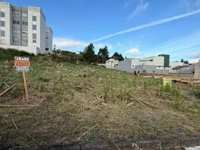 Terreno / Lote para Venda em Caxias do Sul/RS São Luiz