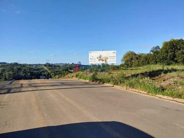 Terreno / Lote para Venda em Caxias do Sul/RS São Luiz
