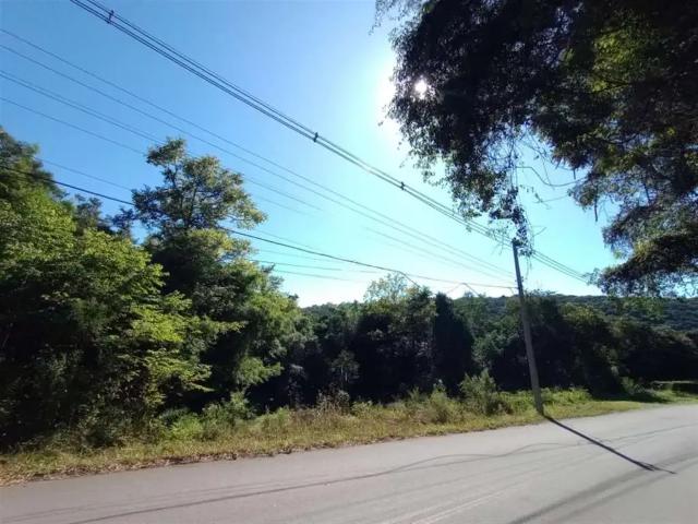 Terreno / Lote para Venda em Caxias do Sul/RS São Luiz