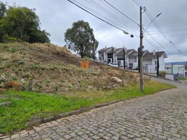 Terreno / Lote para Venda em Caxias do Sul/RS São Luiz