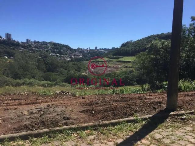 Terreno / Lote para Venda em Caxias do Sul/RS São Luiz
