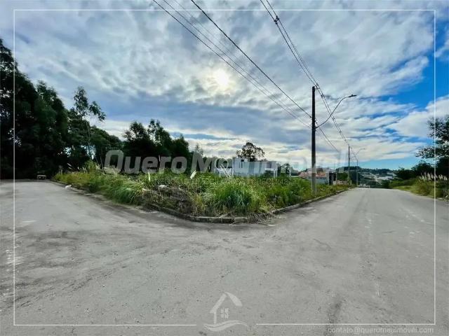 Terreno / Lote para Venda em Caxias do Sul/RS São Luiz