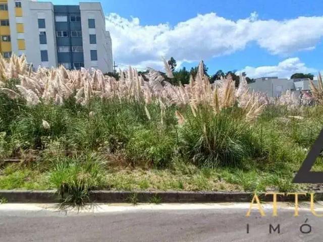 Terreno / Lote para Venda em Caxias do Sul/RS São Luiz