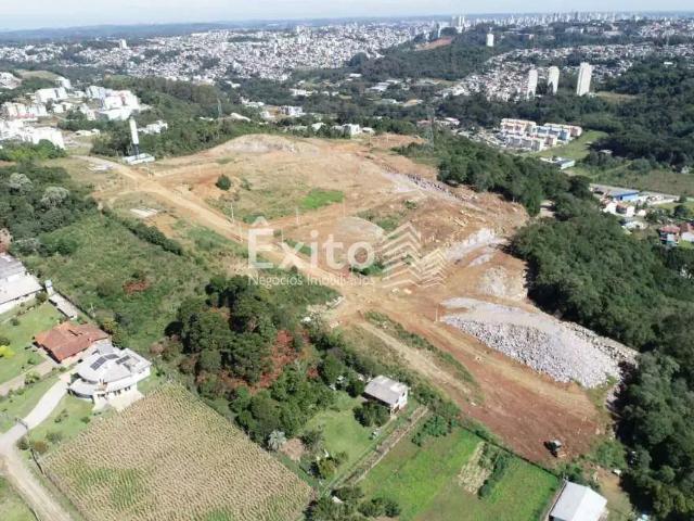 Terreno / Lote para Venda em Caxias do Sul/RS São Luiz