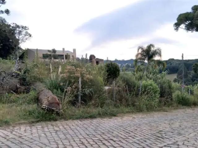 Terreno / Lote para Venda em Caxias do Sul/RS São Luiz