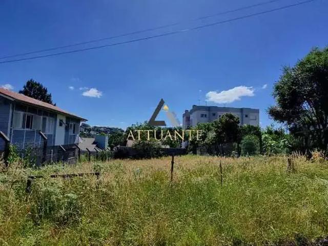 Terreno / Lote para Venda em Caxias do Sul/RS São Luiz