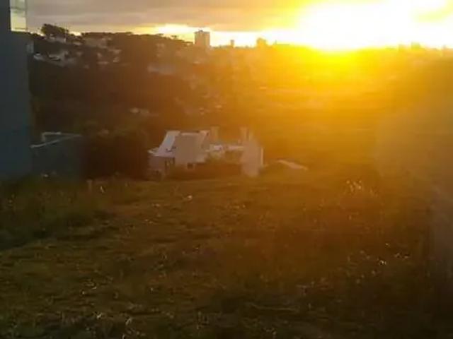 Terreno / Lote para Venda em Caxias do Sul/RS São Luiz