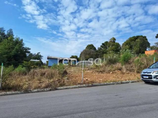 Terreno / Lote para Venda em Caxias do Sul/RS São Luiz