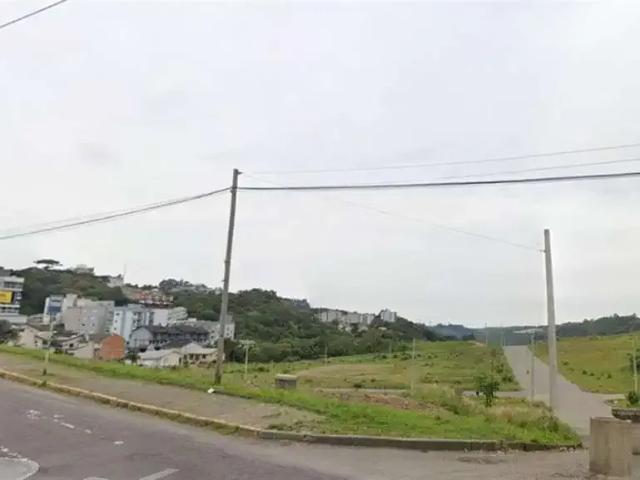 Terreno / Lote para Venda em Caxias do Sul/RS São Luiz
