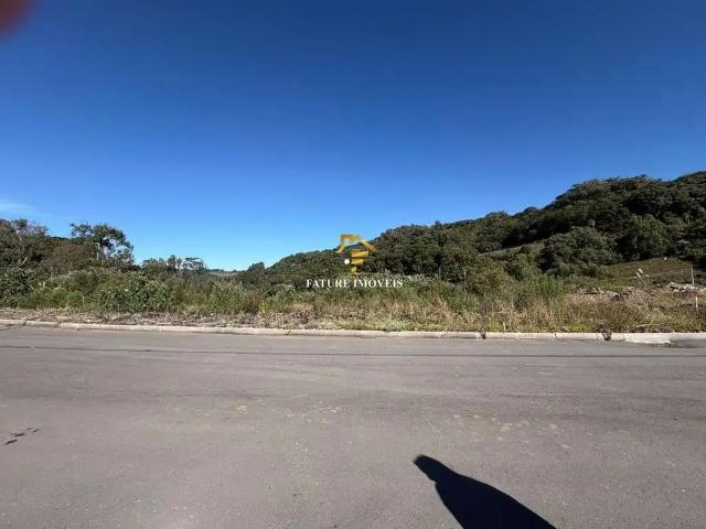 Terreno / Lote para Venda em Caxias do Sul/RS São Luiz