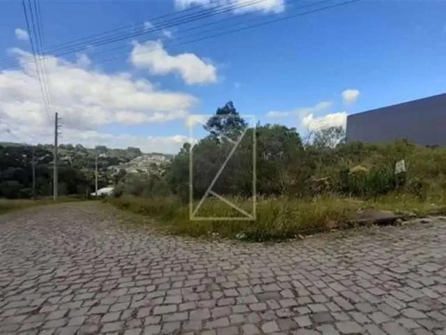 Terreno / Lote para Venda em Caxias do Sul/RS São Luiz