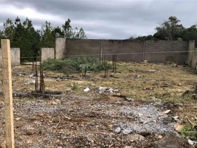 Terreno / Lote para Venda em Caxias do Sul/RS São Luiz