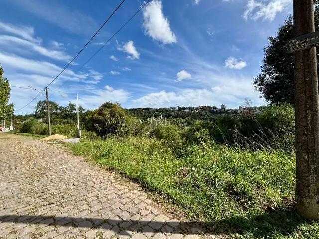 Terreno / Lote para Venda em Caxias do Sul/RS São Luiz