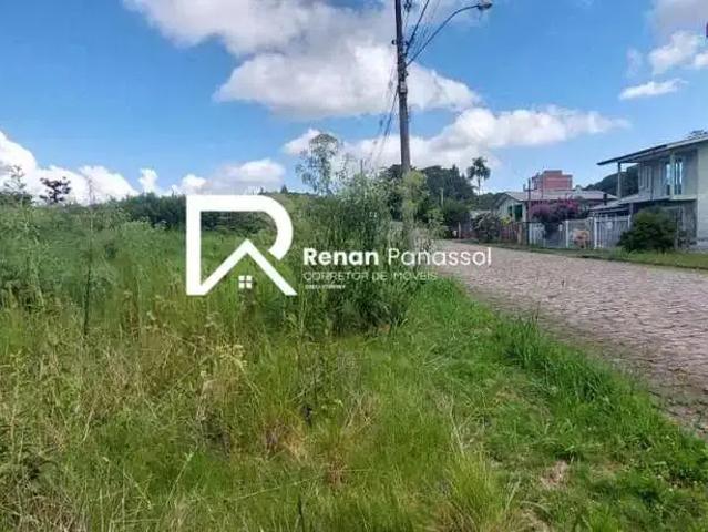 Terreno / Lote para Venda em Caxias do Sul/RS São Luiz