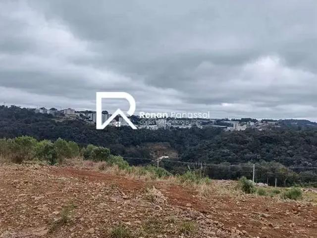 Terreno / Lote para Venda em Caxias do Sul/RS São Luiz