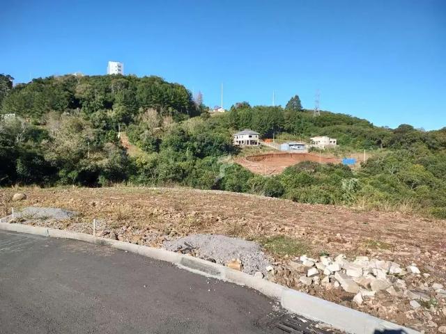 Terreno / Lote para Venda em Caxias do Sul/RS São Luiz