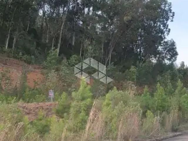 Terreno / Lote para Venda em Caxias do Sul/RS São Luiz