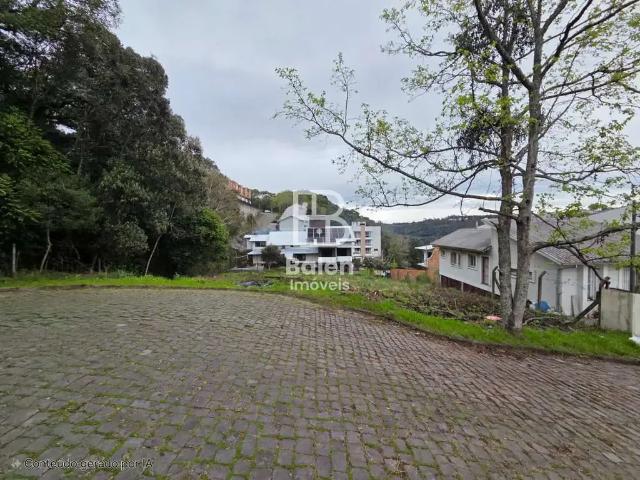 Terreno / Lote para Venda em Caxias do Sul/RS São Luiz