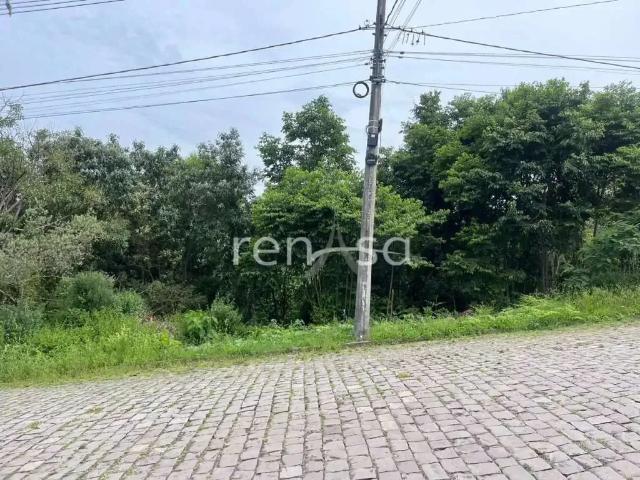 Terreno / Lote para Venda em Caxias do Sul/RS São Luiz