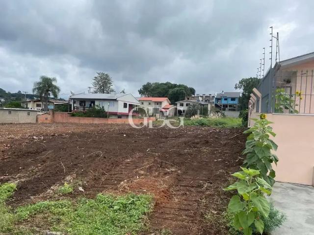 Terreno / Lote para Venda em Caxias do Sul/RS São Luiz