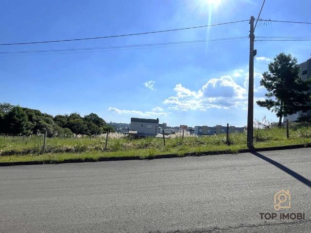 Terreno / Lote para Venda em Caxias do Sul/RS São Luiz