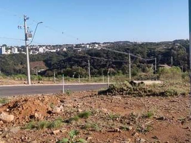 Terreno / Lote para Venda em Caxias do Sul/RS São Luiz