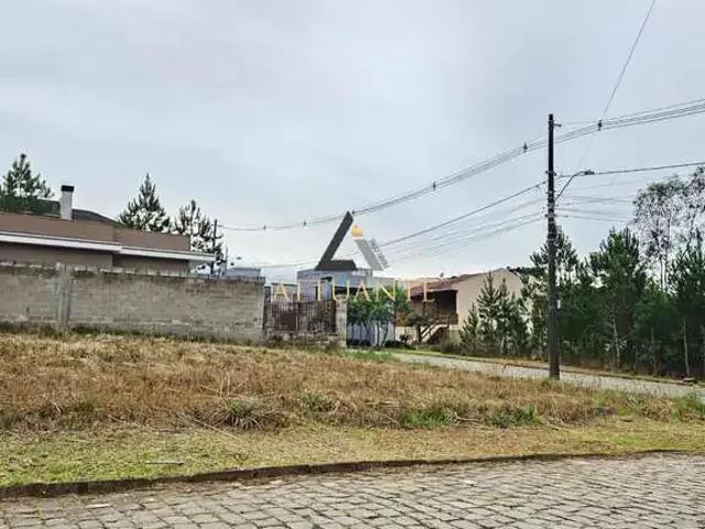 Terreno / Lote para Venda em Caxias do Sul/RS São Luiz