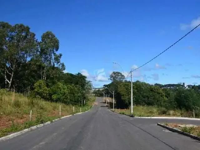 Terreno / Lote para Venda em Caxias do Sul/RS São Luiz