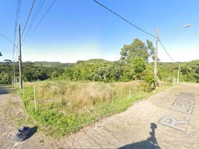 Terreno / Lote para Venda em Caxias do Sul/RS São Luiz