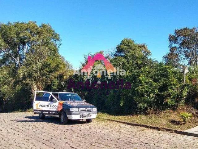 Terreno / Lote para Venda em Caxias do Sul/RS São Luiz