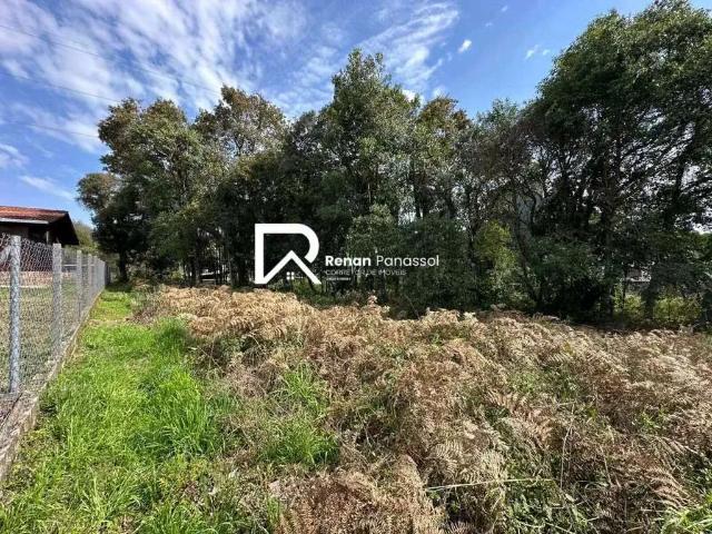 Terreno / Lote para Venda em Caxias do Sul/RS São Luiz
