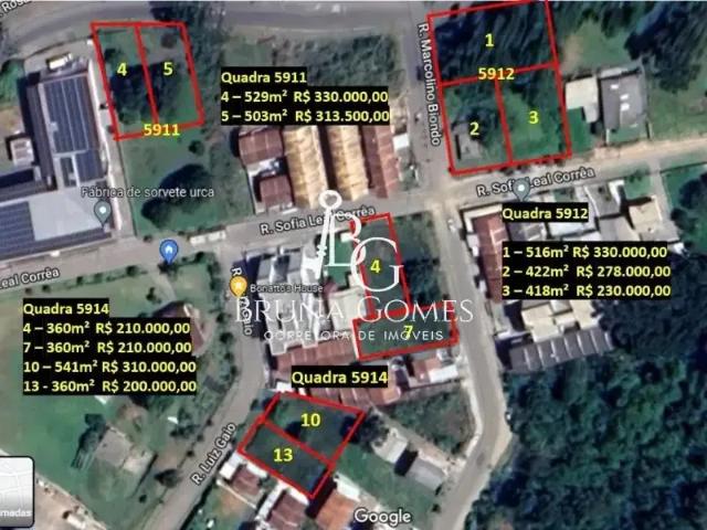 Terreno / Lote para Venda em Caxias do Sul/RS São Luiz