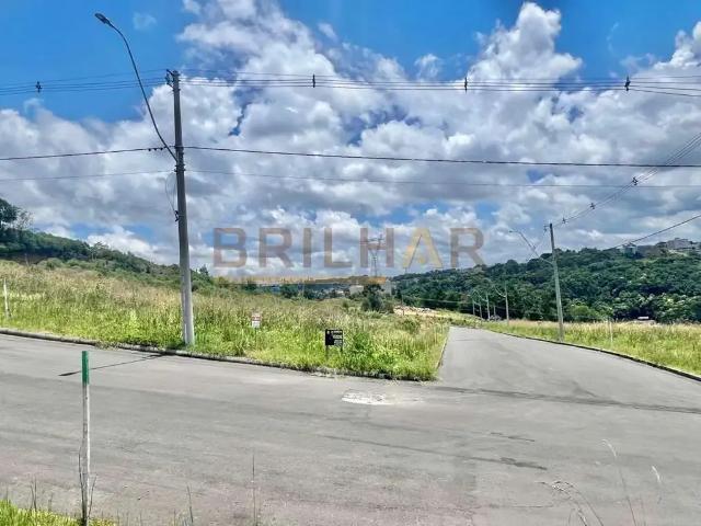 Terreno / Lote para Venda em Caxias do Sul/RS São Luiz