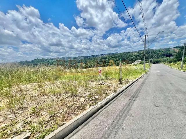 Terreno / Lote para Venda em Caxias do Sul/RS São Luiz