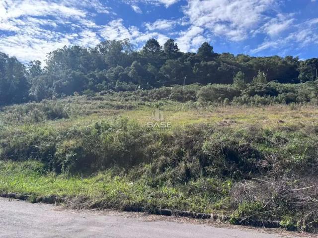 Terreno / Lote para Venda em Caxias do Sul/RS São Luiz