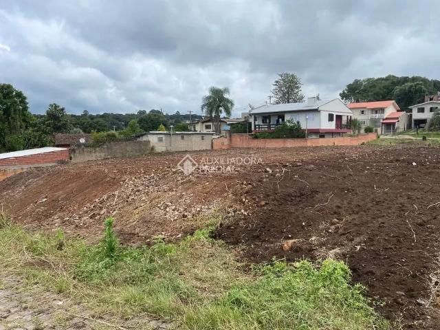 Terreno / Lote para Venda em Caxias do Sul/RS São Luiz