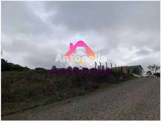 Terreno / Lote para Venda em Caxias do Sul/RS São Luiz