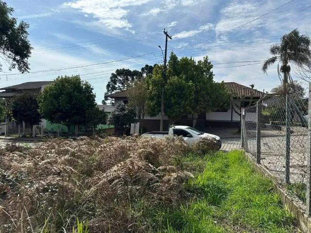Terreno / Lote para Venda em Caxias do Sul/RS São Luiz