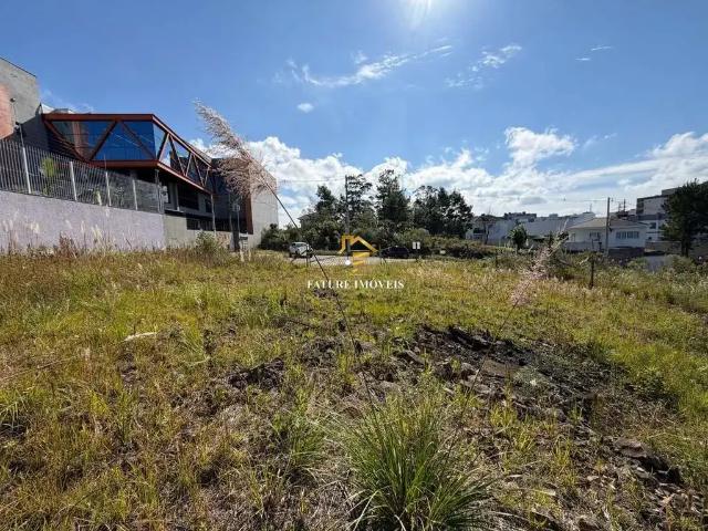 Terreno / Lote para Venda em Caxias do Sul/RS São Luiz