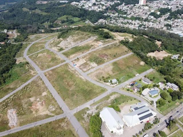 Terreno / Lote para Venda em Caxias do Sul/RS São Luiz