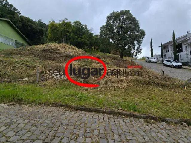 Terreno / Lote para Venda em Caxias do Sul/RS São Luiz