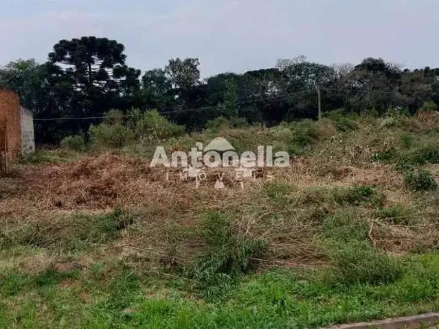 Terreno / Lote para Venda em Caxias do Sul/RS São Luiz