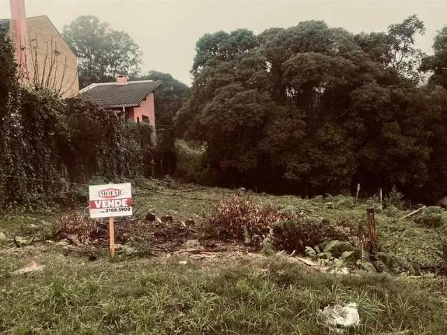 Terreno / Lote para Venda em Caxias do Sul/RS São Luiz