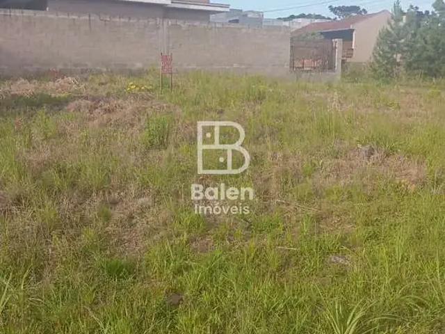 Terreno / Lote para Venda em Caxias do Sul/RS São Luiz